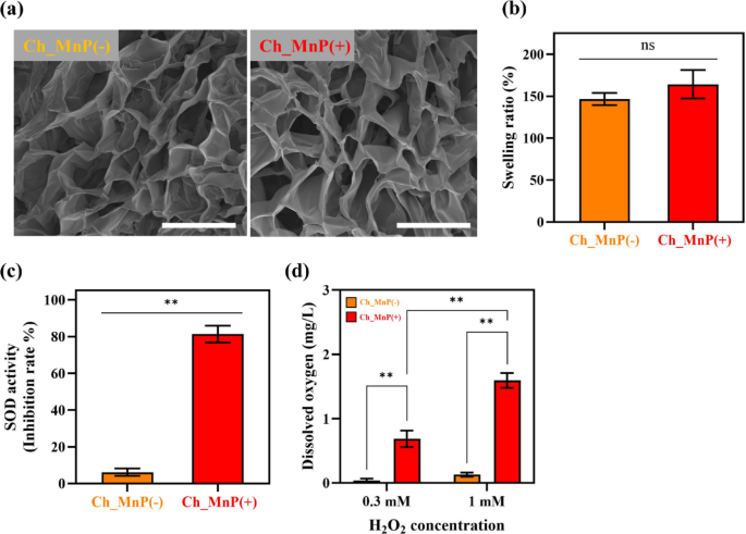 Challenges in functional hydrogel application for chronic tympanic ...