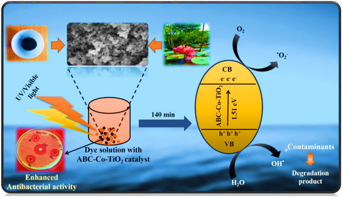 Facile Green Synthesis of Activated Biocarbon-Cobalt-Doped TiO2 ...