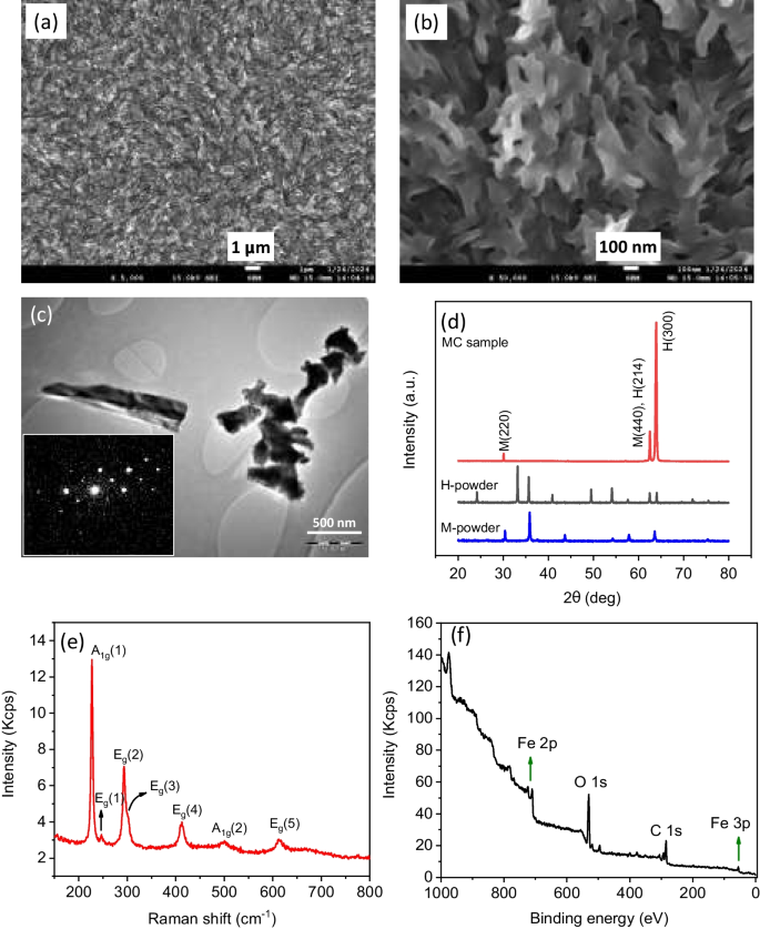 Polarized Infrared Spectroscopy of Textured Hematite (α-Fe2O3 ...