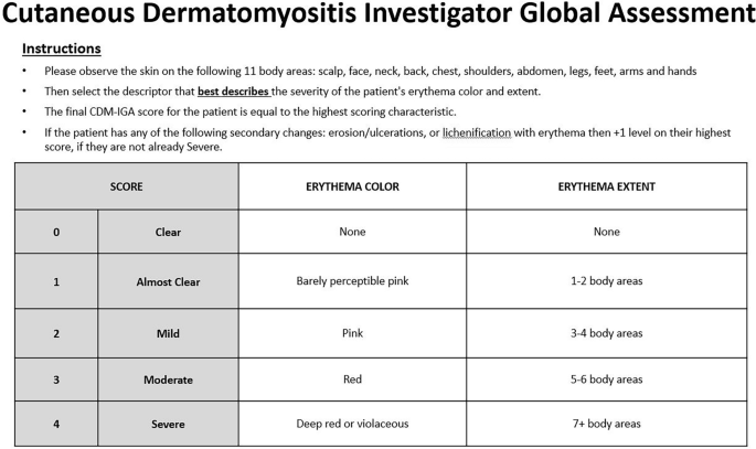 Development of the Cutaneous Dermatomyositis Investigator Global ...