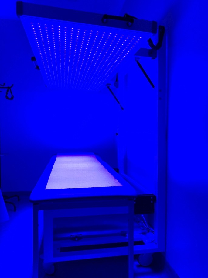Prospective Clinical Study: Full-Body Blue Irradiation in the Treatment ...
