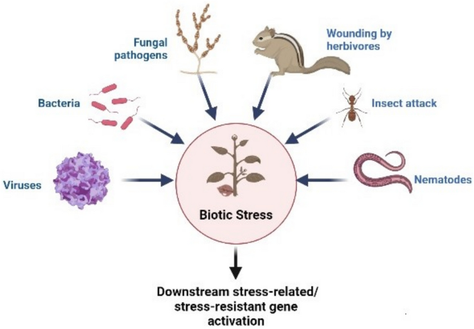 Exploring the complexity of plant stress response: role of metabolomics ...