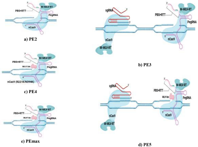 Genome editing for trait optimization: the role of CRISPR, base editing ...