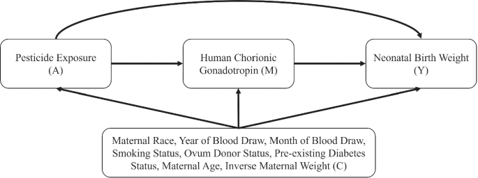 Mediation Analysis using Semi-parametric Shape-Restricted Regression with Applications | Sankhya B