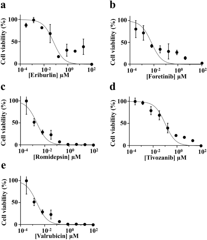 Establishment and characterization of NCC-SFT1-C1: a novel patient ...
