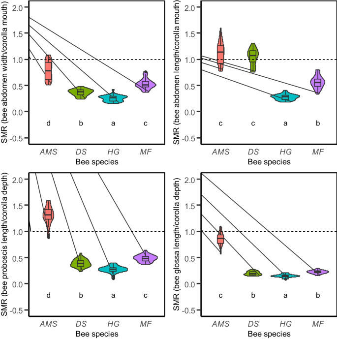 When size matters: effectiveness of three endemic African stingless ...