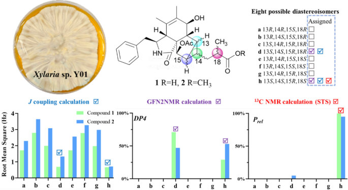 Xylariaides A and B, novel cytochalasans with a unique 5/6/5/3 ring ...