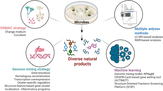 Revolutionizing microbial treasure troves: innovative strategies for ...