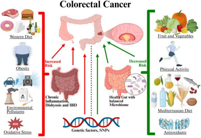 Nutrition, Environment, and Genetics in Colorectal Cancer. Epigenetics ...