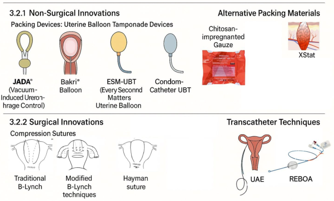 Recent Advances in the Prevention and Management of Postpartum ...