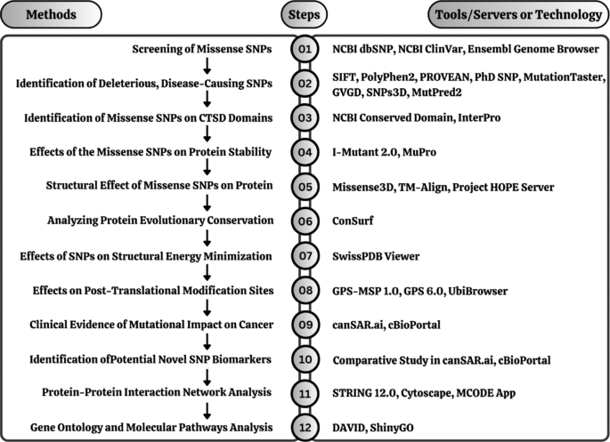 In-silico analysis of structural and functional impact of missense SNPs ...