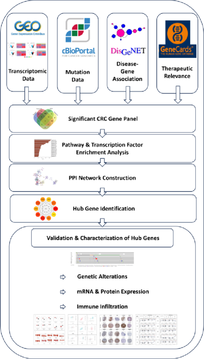 Multi-omics integration and network analysis identify therapeutic hub genes in colorectal cancer ...