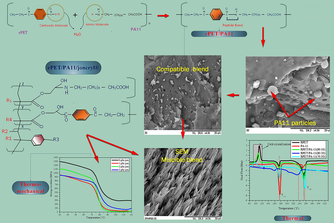 Compatibility and miscibility of recycled polyethylene terephthalate ...