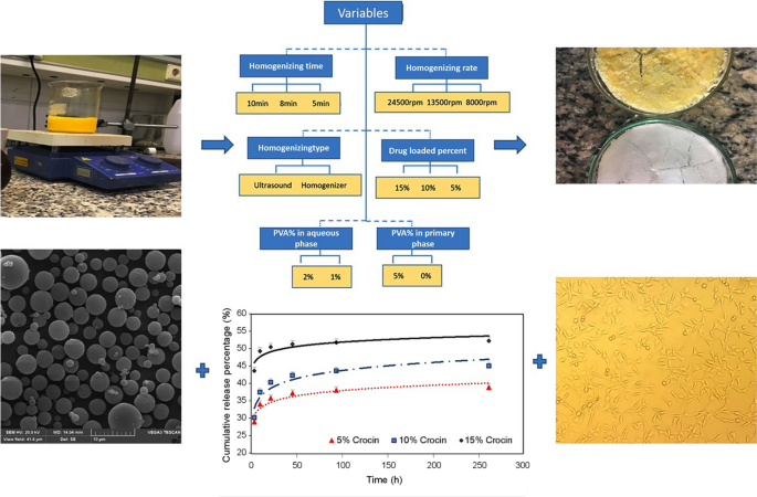 Composite agar hydrogel containing polycaprolactone microparticles with Crocin sustained release ...