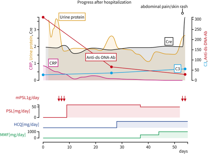 Fatal visceral disseminated varicella zoster virus infection during ...