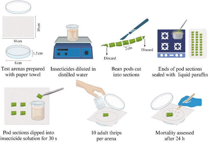 Bioassay method for assessing insecticide susceptibility in thrips ...