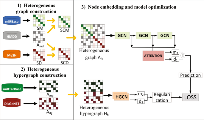 Prediction of miRNA-disease association based on heterogeneous ...
