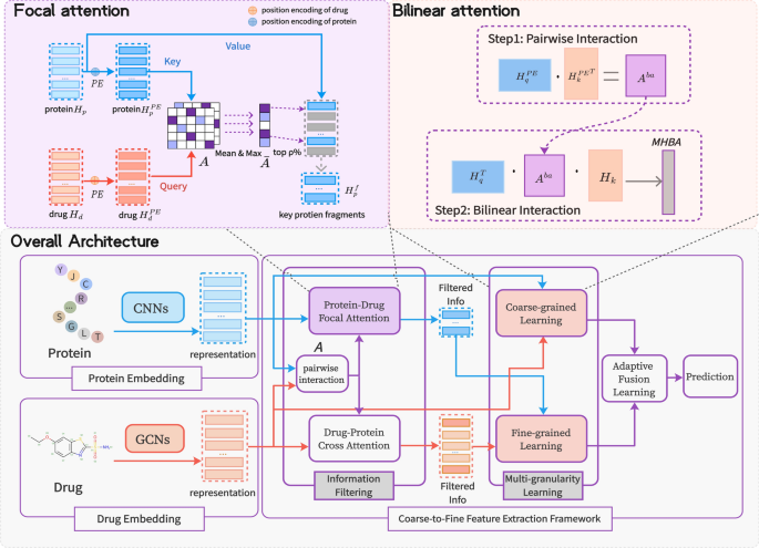 CF-DTI: coarse-to-fine feature extraction for enhanced drug-target interaction prediction ...