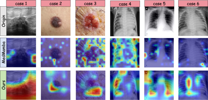 Knowledge-enhanced medical image classification via descriptive priors ...