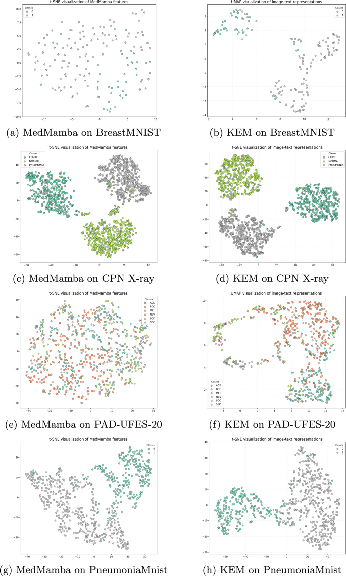 Knowledge-enhanced medical image classification via descriptive priors ...