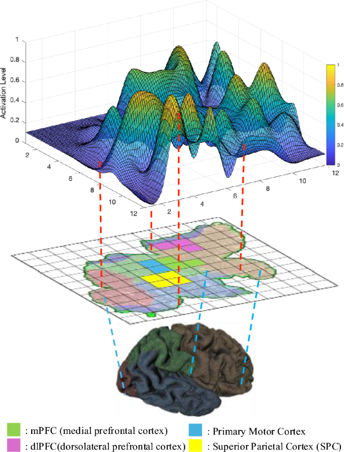 Reconstructing brain causal dynamics for subject and task fingerprints ...