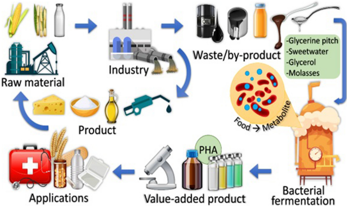 Bioprospecting waste for polyhydroxyalkanoates production: embracing ...