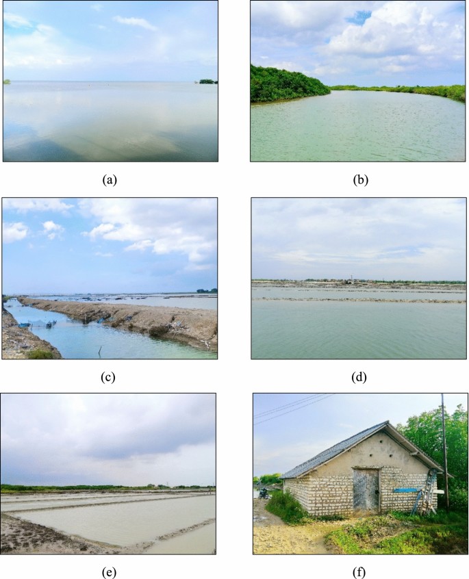 Microplastic contamination along the salt production system: insights ...