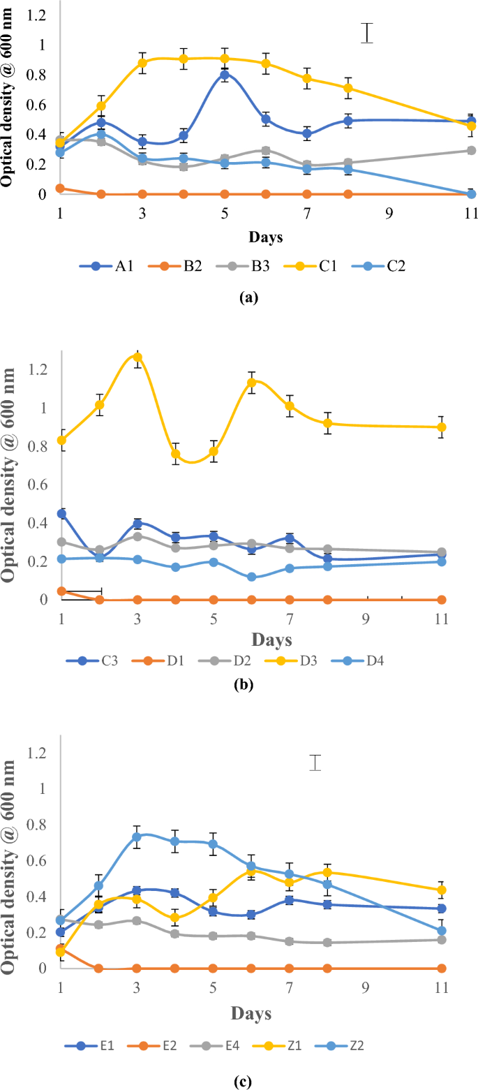 Isolation, characterization, and hydrocarbon-degrading potentials of ...
