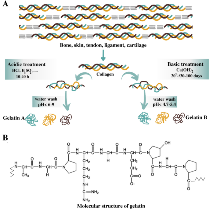 Gelatin-based approaches for sustainable water purification: techniques ...