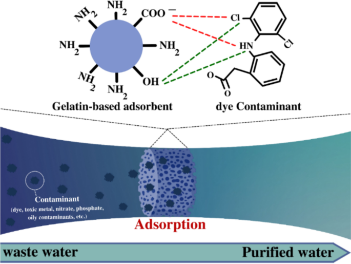 Gelatin-based approaches for sustainable water purification: techniques ...