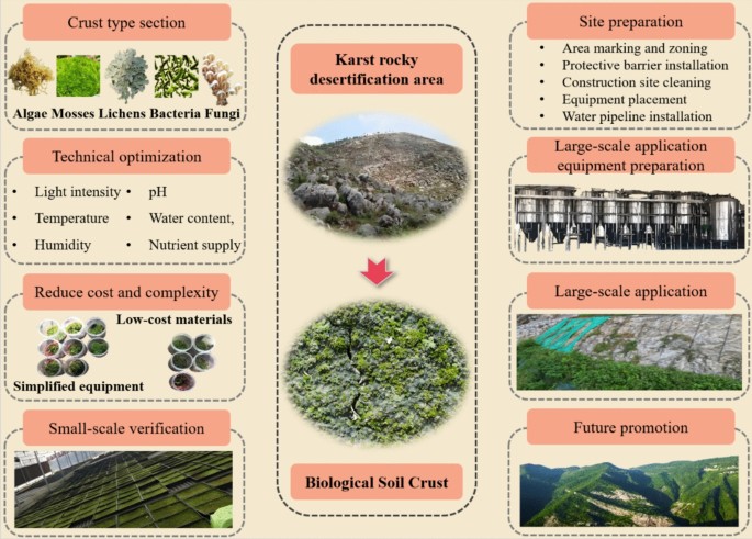 Biological soil crust technology for ecological restoration in karst rocky desertification areas ...