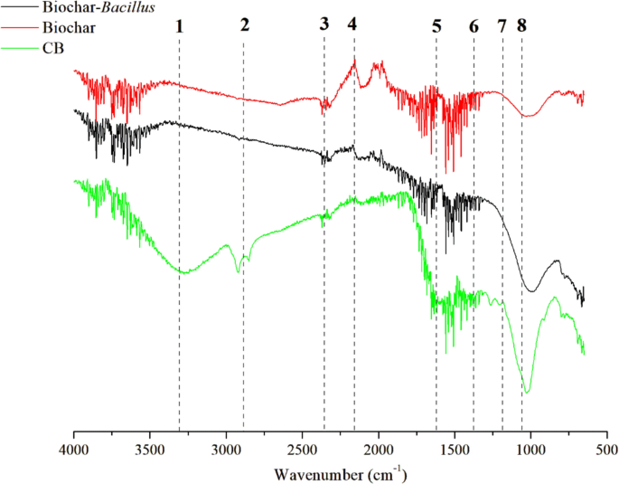 Development of biochar-immobilized Bacillus subtilis BEIB-18 for hexavalent chromium (Cr(VI ...