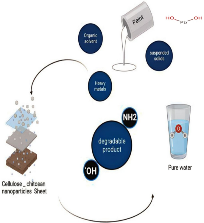 Eco-friendly cellulose-based membranes derived from sugarcane bagasse ...