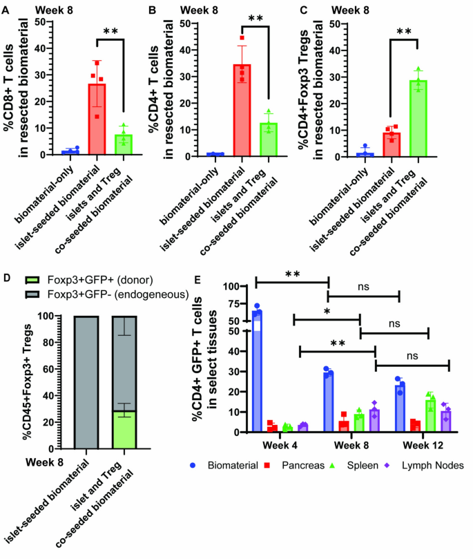 Implantation of Islets Co-Seeded with Tregs in a Novel Biomaterial ...