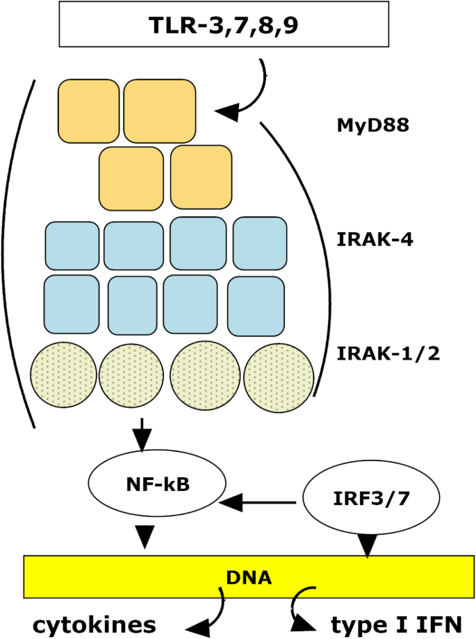 Viral sepsis – pathophysiology and disease manifestation | Infection