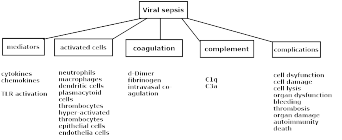 Viral sepsis – pathophysiology and disease manifestation | Infection