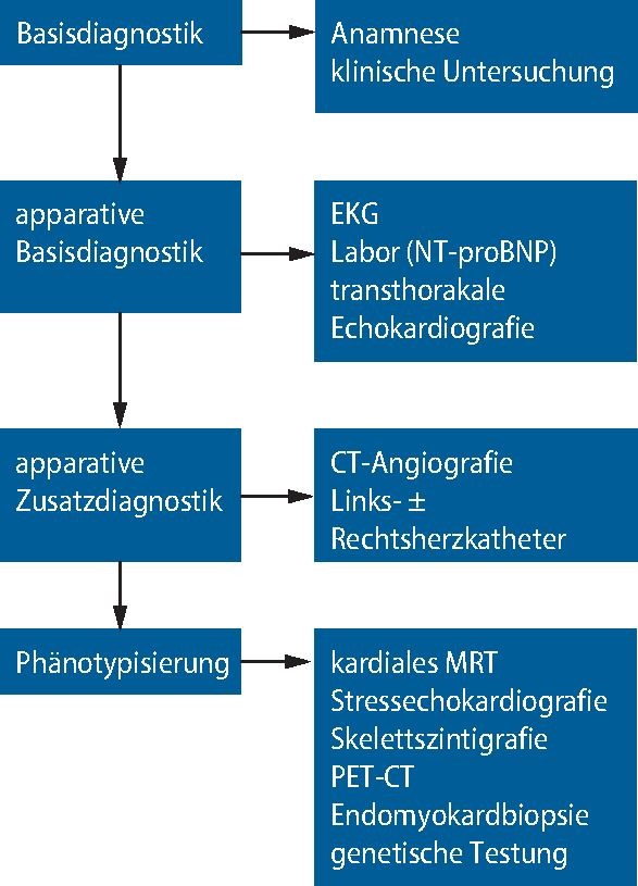 Definitionen und diagnostische Schritte bei Herzinsuffizienz | CardioVasc