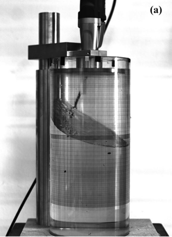 The growth of a rotary gravity wave in a cylindrical container ...