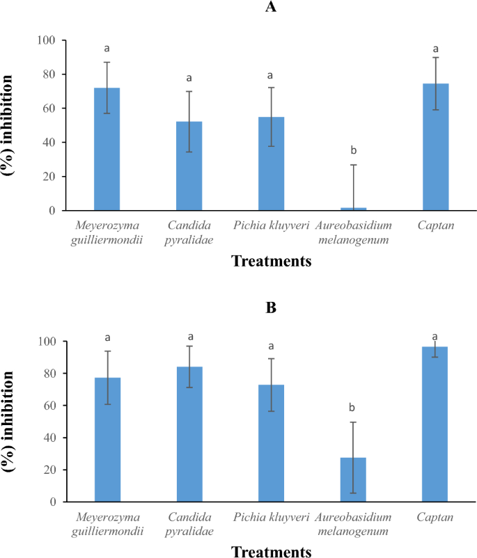 Biocontrol Potential of Non-Saccharomyces Yeasts Against Post-Harvest ...