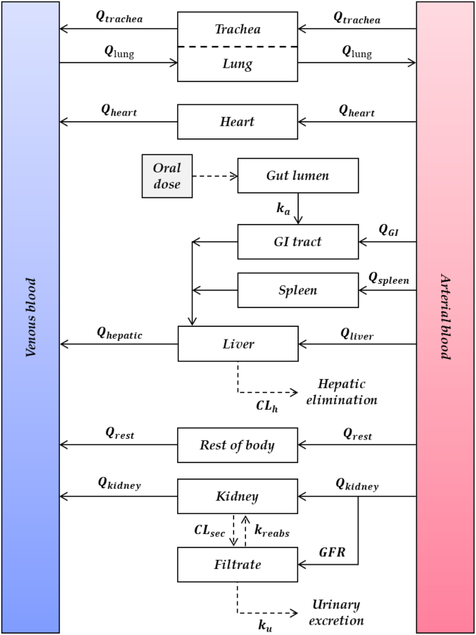 Model-informed repurposing of pyronaridine for mild to moderate COVID− ...