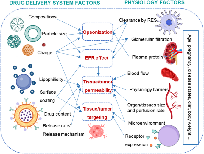 Pharmacokinetic modeling in drug delivery system | Journal of ...