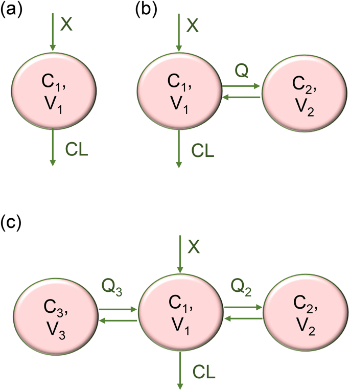 Pharmacokinetic modeling in drug delivery system | Journal of ...