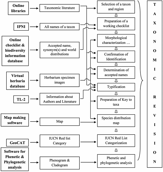 Cybertaxonomy to Overcome Taxonomic Impediments: A Discussion in the ...