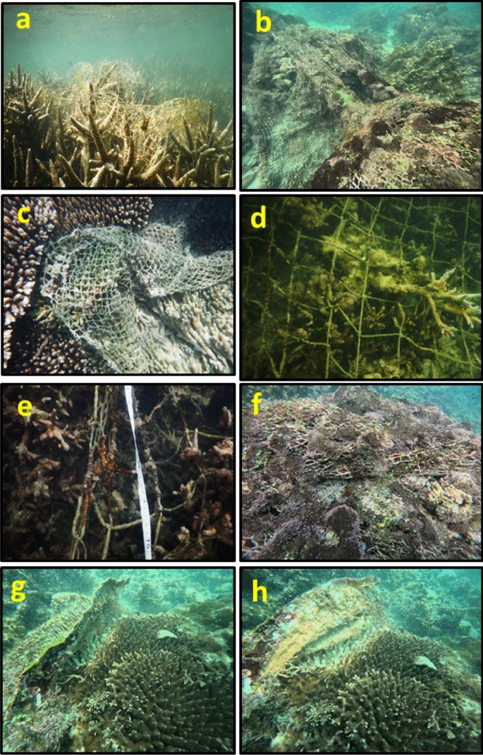 Ghost Fishing Gear: A Multifaceted Risk to the Coral Reefs Along India ...