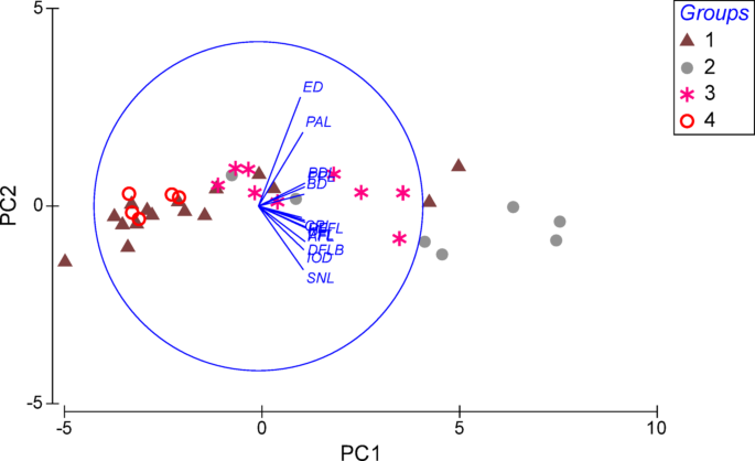 Morphological and Molecular Delineation of Opsarius bendelisis Across ...