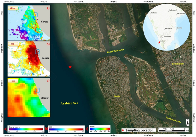 First Record of Prorocentrum Gracile Bloom in the Southeastern Arabian ...