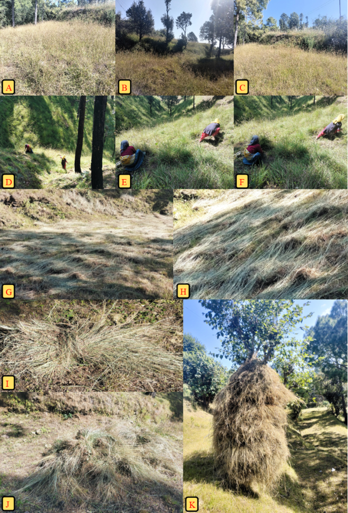 Soo or Lut: An Indigenous Traditional Method of Grass Storage in the ...