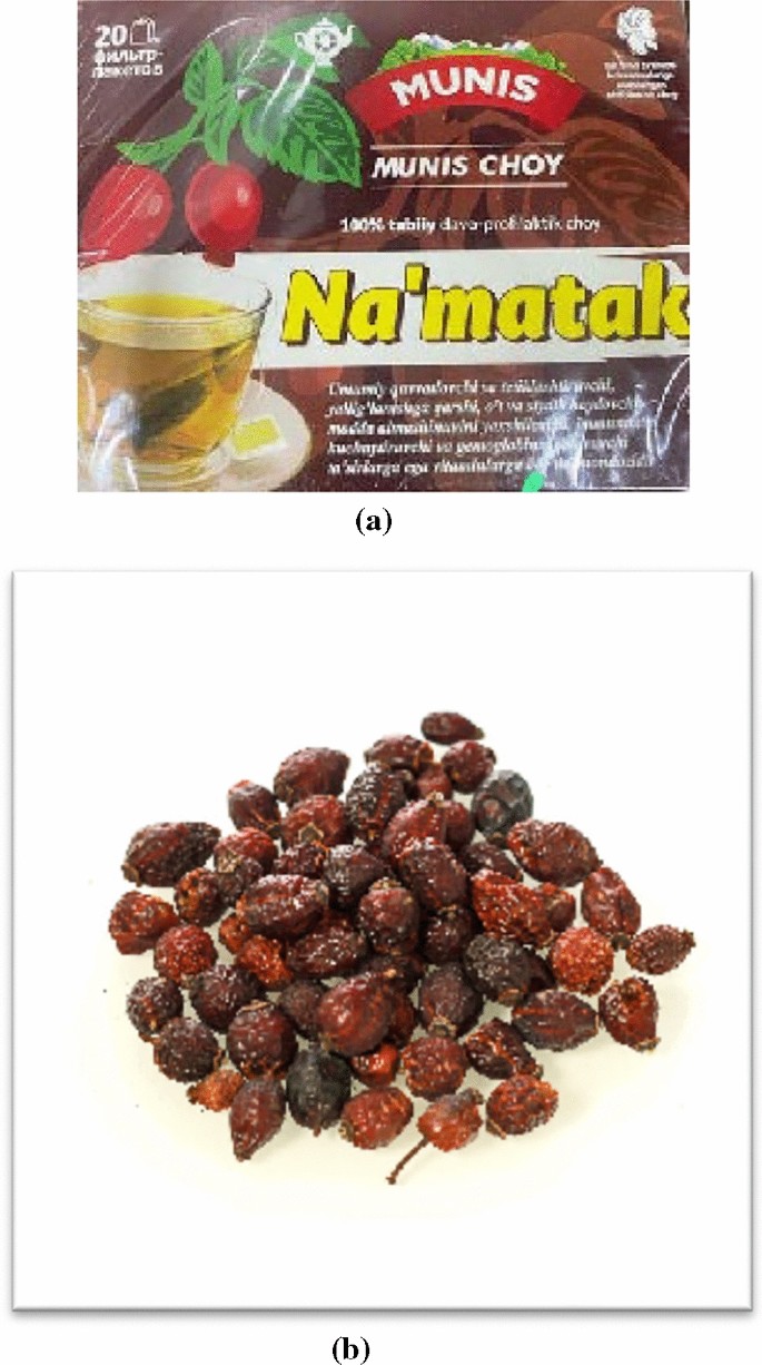 Comparative Study on Nutritional Contents of Rose Hip Herbal Tea and ...