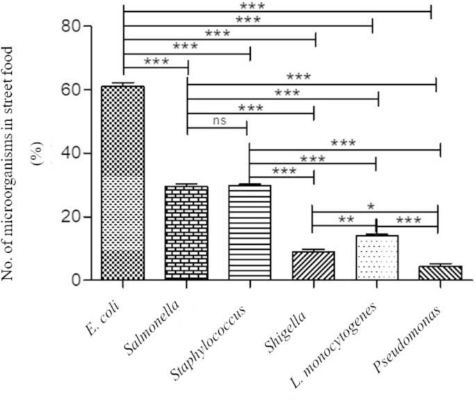 A Comprehensive Study of Conventional and Modern Salmonella Detection ...