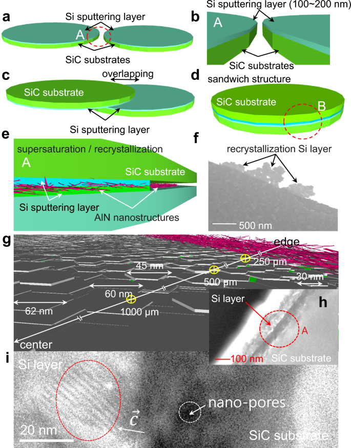 Advanced HVPE sublimation sandwich method for Si layer formation on SiC ...